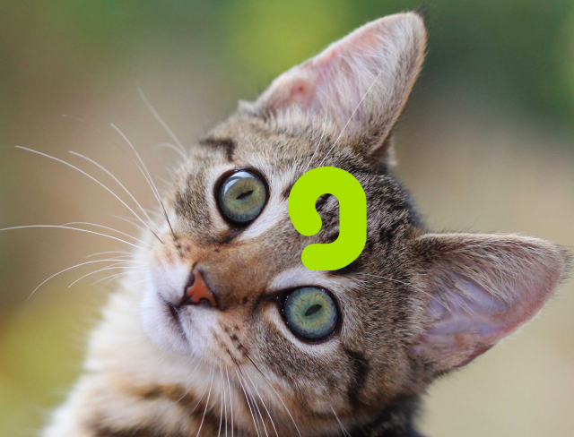 Gfycat makes its way onto the Play Store for those not in the US